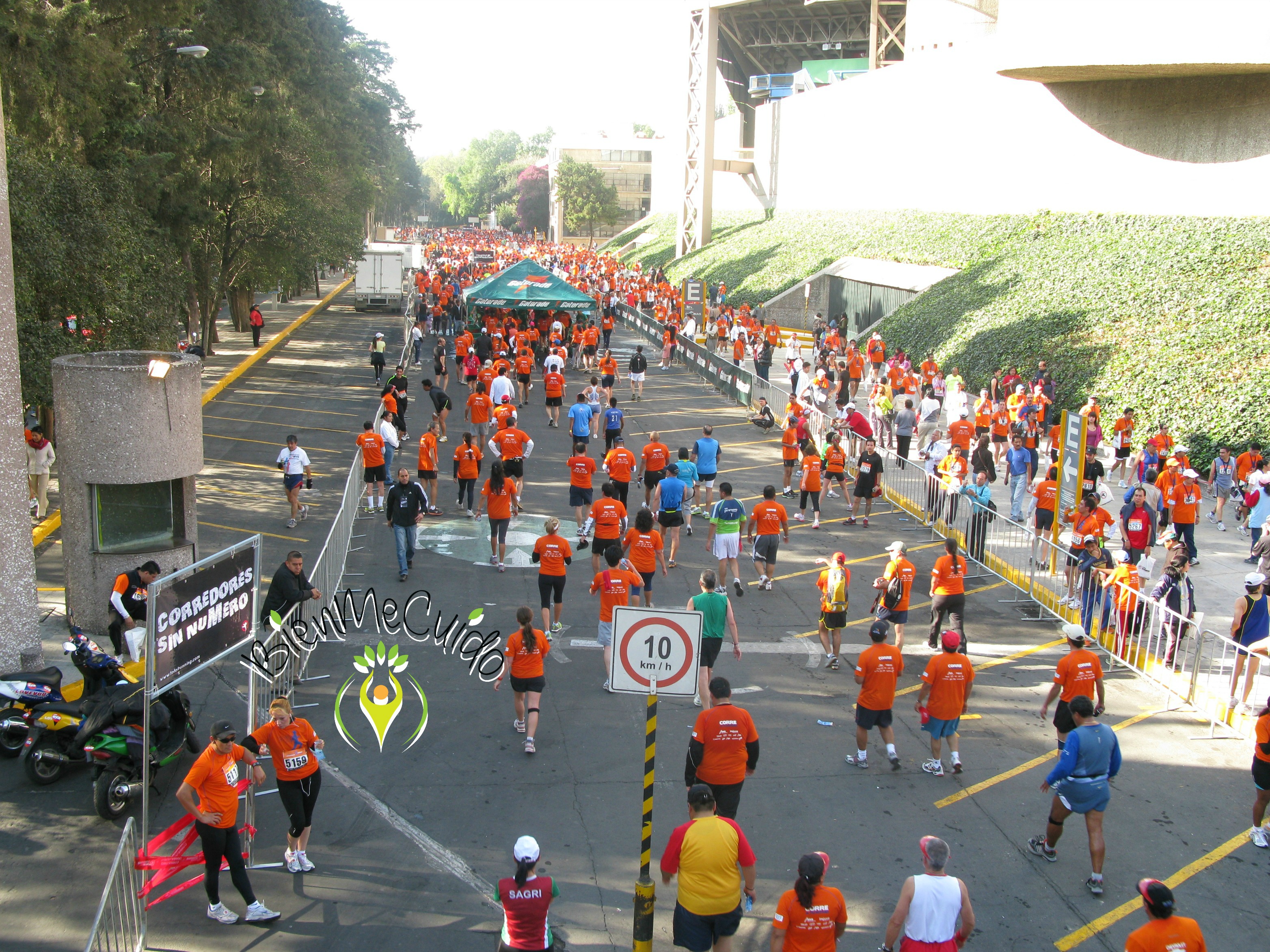 Basicos para una buena carrera - bienmecuido.com